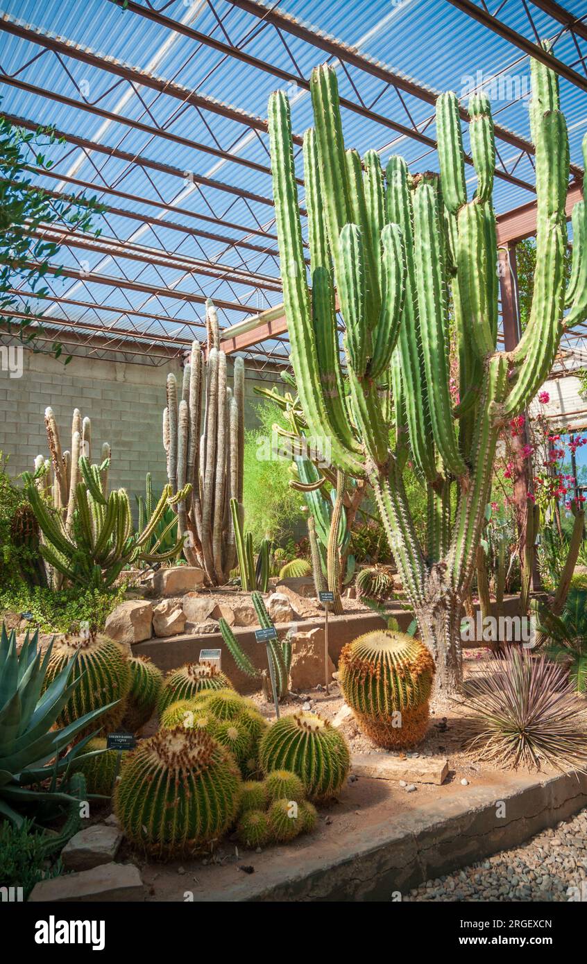 Living Desert Zoo Gardens State Park in New Mexico Stock Photo - Alamy