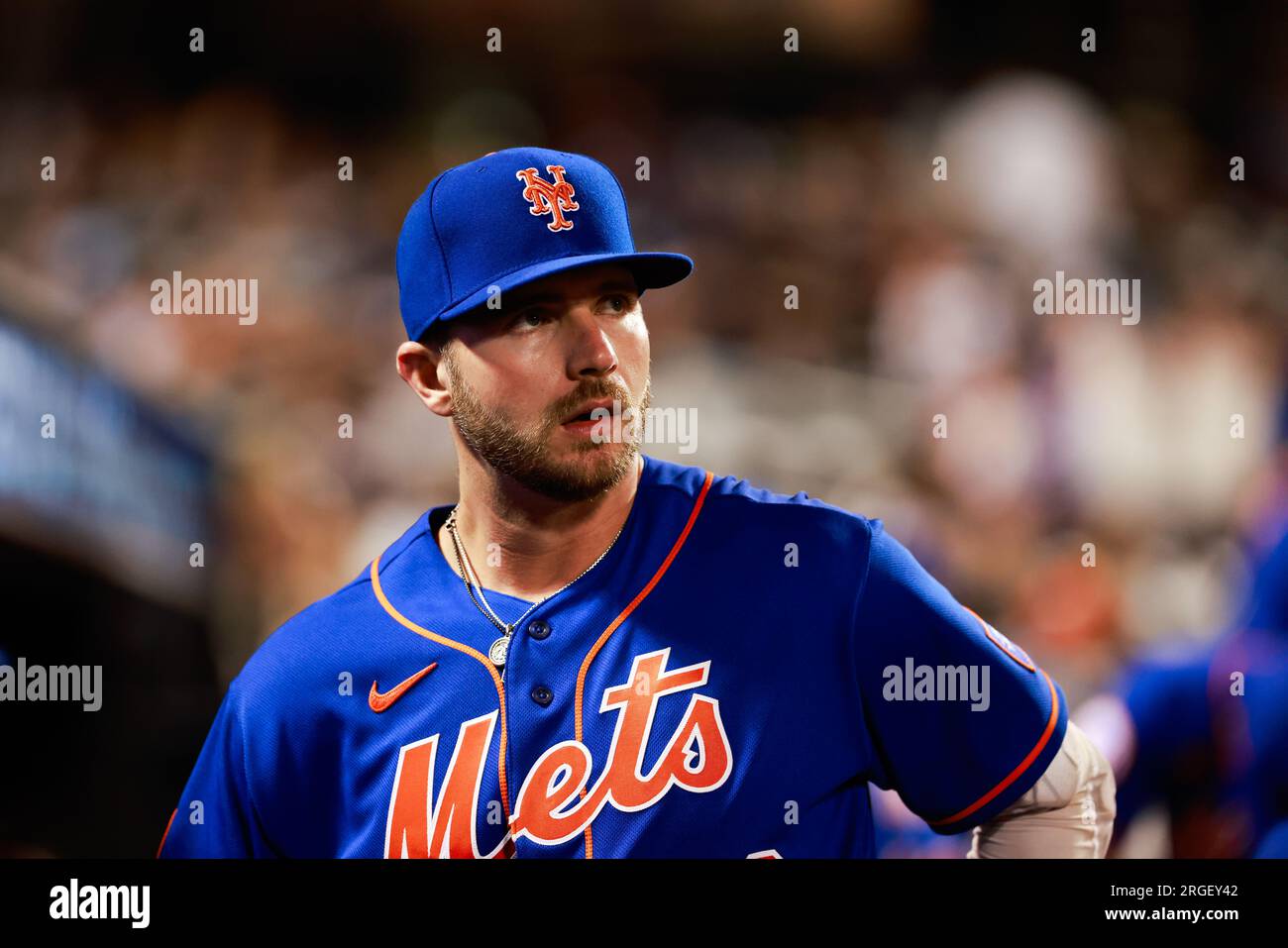 Ariel fox image sport hi-res stock photography and images - Alamy