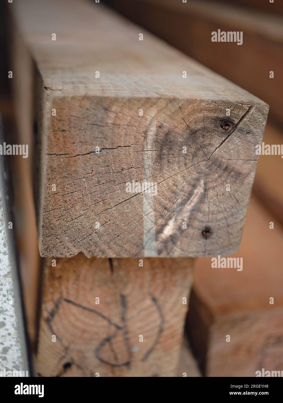 Close up , Glued pine timber beams for wooden windows . square log wood ...