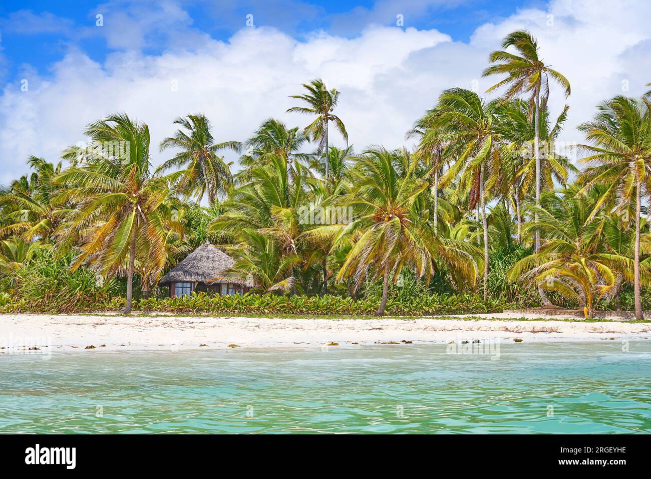 Beach near Pingwe, Zanzibar, Tanzania, East Africa Stock Photo - Alamy