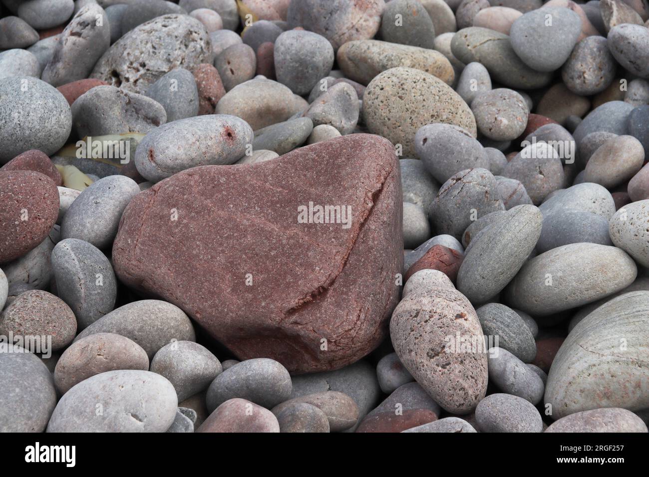 Pebbles on pennan beach hi-res stock photography and images - Alamy