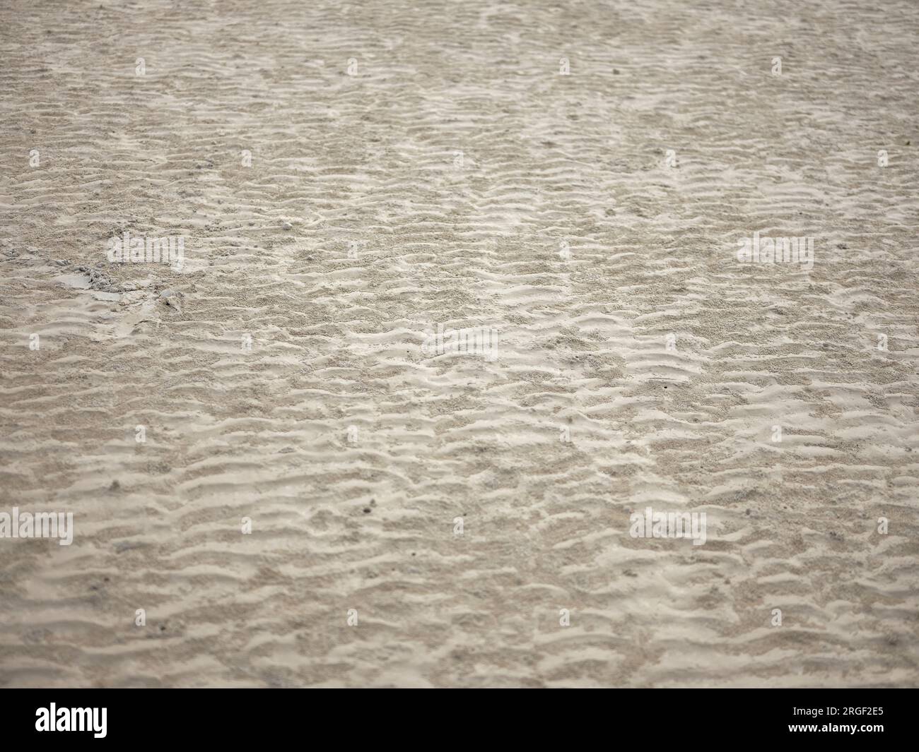 Beautiful empty sand beach background, nature texture background ...