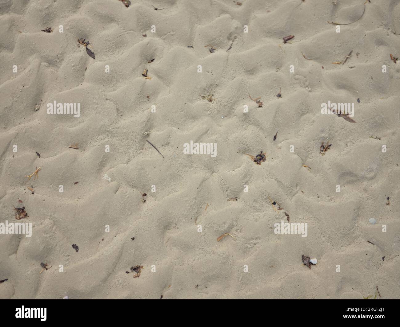 Beautiful empty sand beach background, nature texture background ...