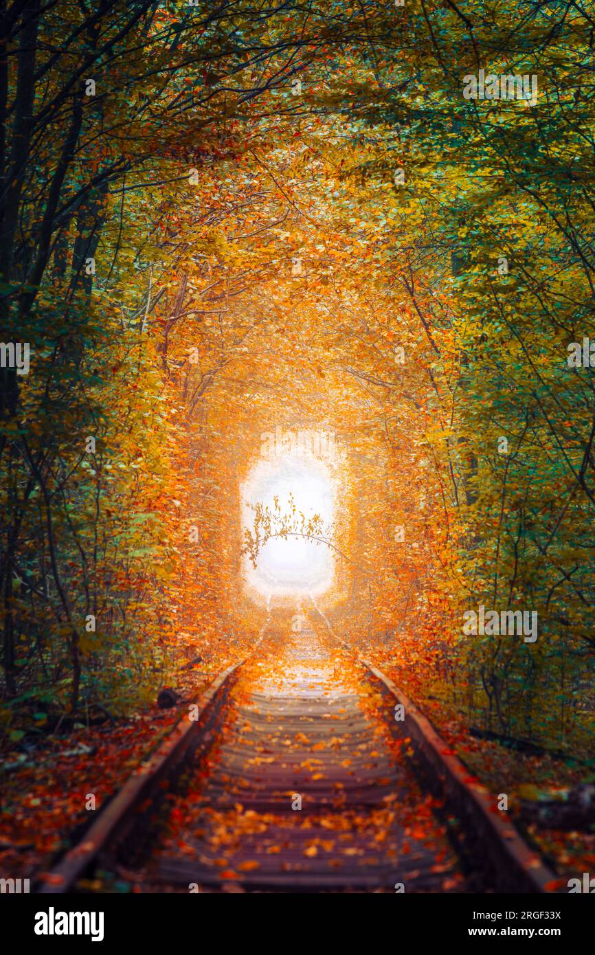 Autumn landscape - Fantastic Autumn Trees Tunnel with old railway ...