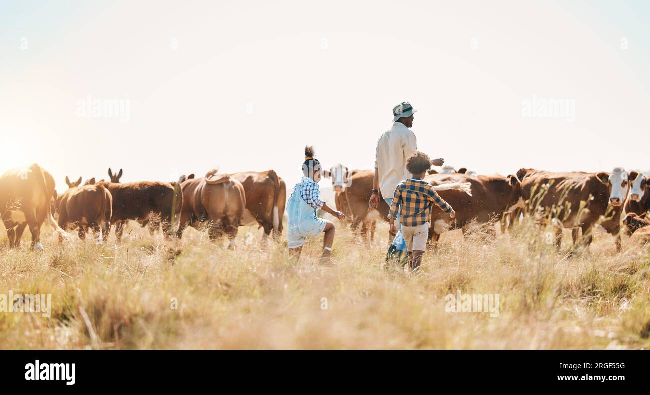 Cattle, children and father on family farm outdoor for livestock ...