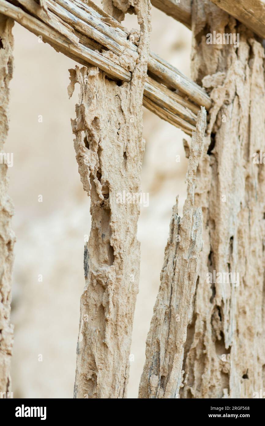 ruins of heritage arab village built of muds in riyadh in Saudi Arabia ...