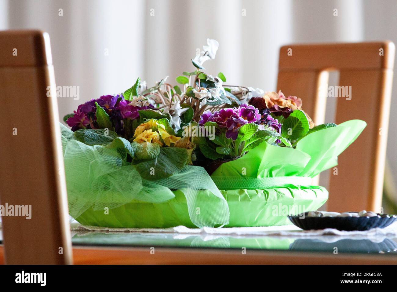 Composition of flowers shot indoor Stock Photo - Alamy