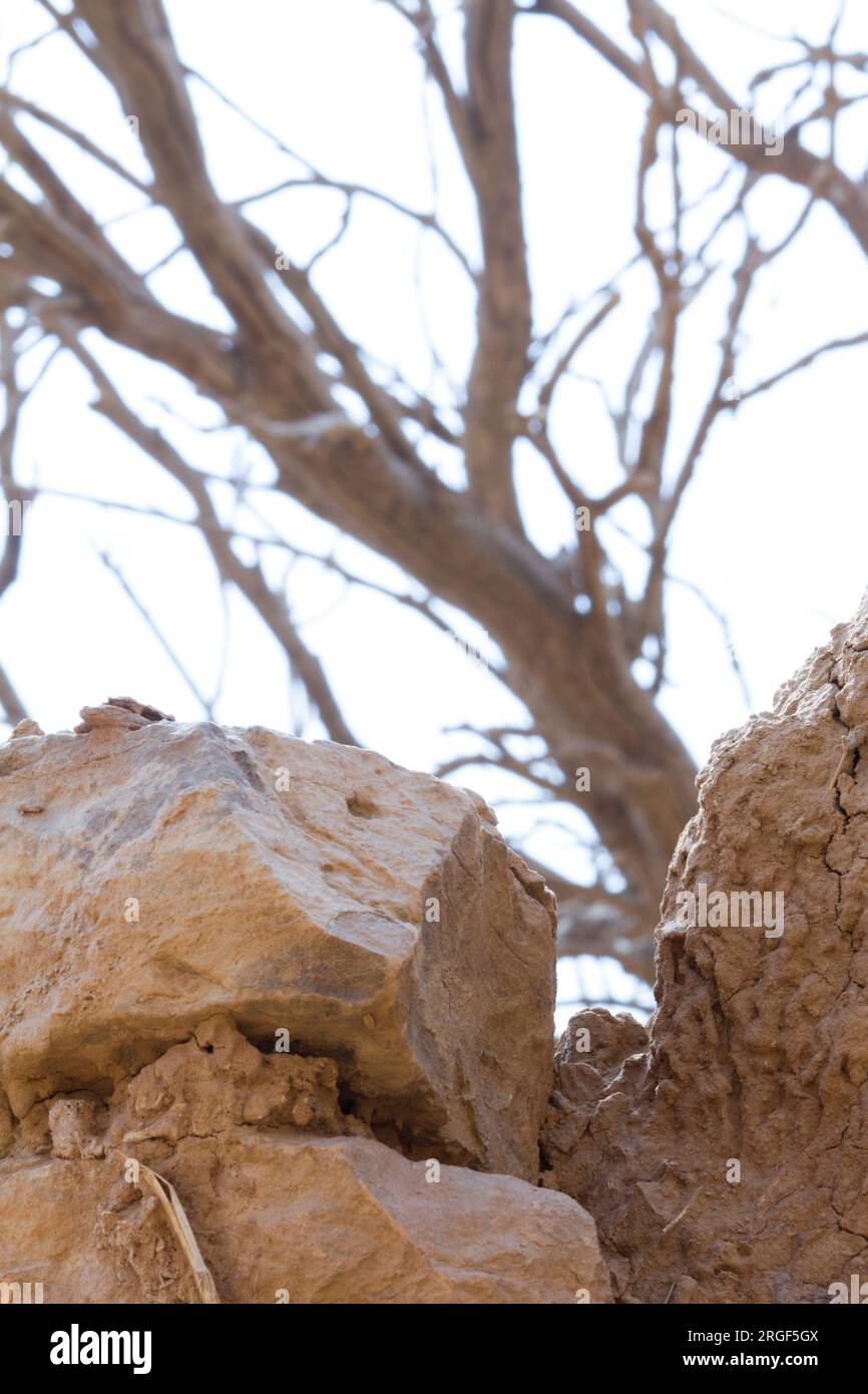 Ruins of ancient arab middle eastern old town built of mud bricks, old ...