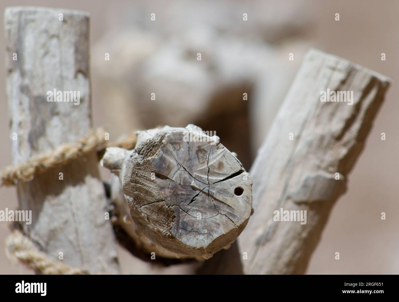 arabian heritage village in riyadh in Saudi Arabia Stock Photo - Alamy