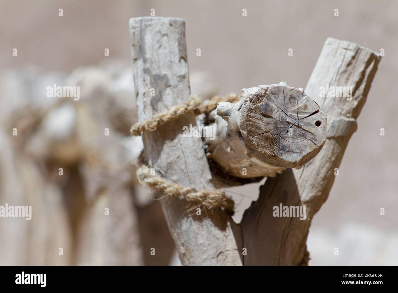 arabian heritage village in riyadh in Saudi Arabia Stock Photo - Alamy