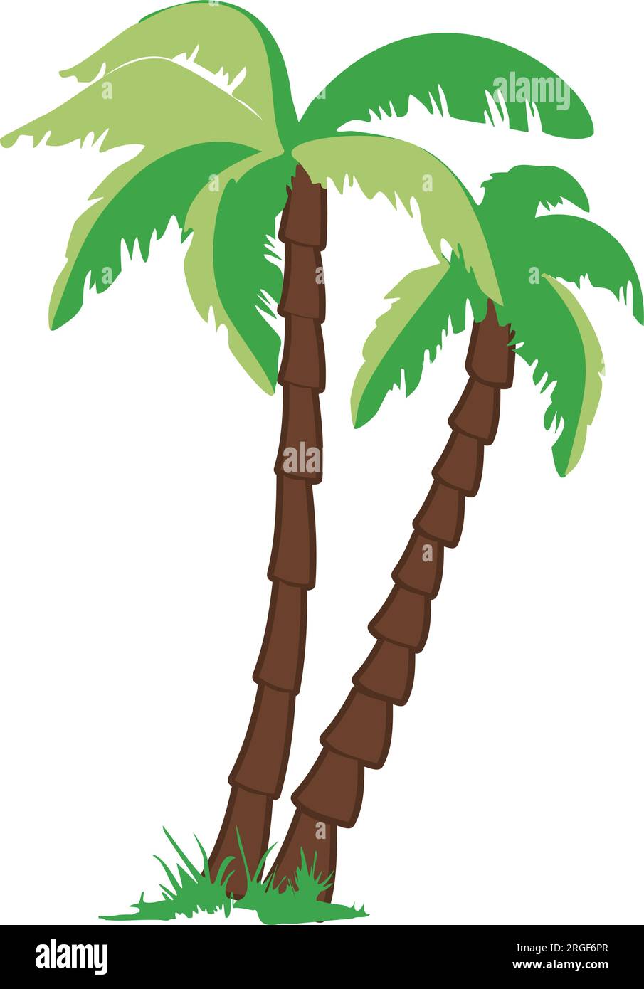 Palm tree in the drawing Stock Vector Image & Art - Alamy