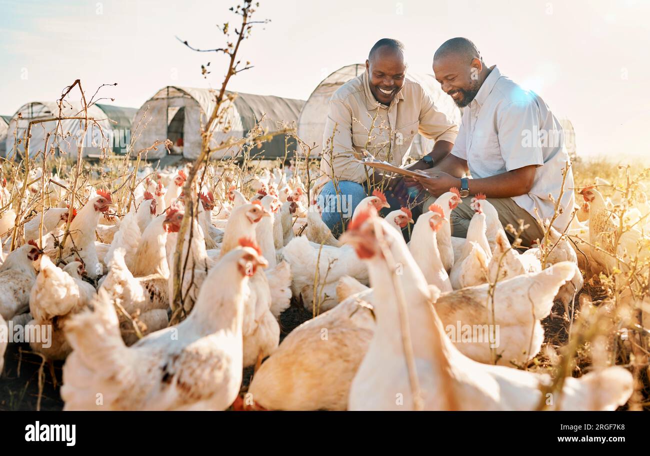 People, agriculture checklist and chicken in sustainability farming ...