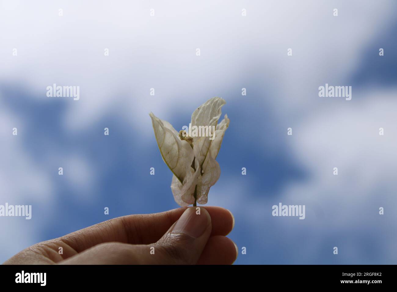 Dreamcore hi-res stock photography and images - Alamy