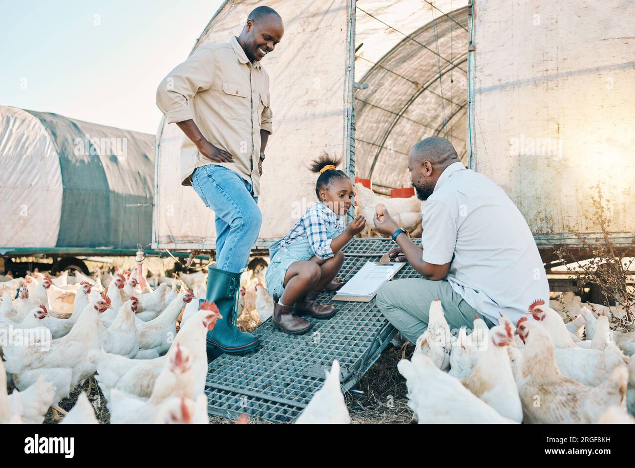 Egg, checklist and chicken with black family on farm for agriculture ...