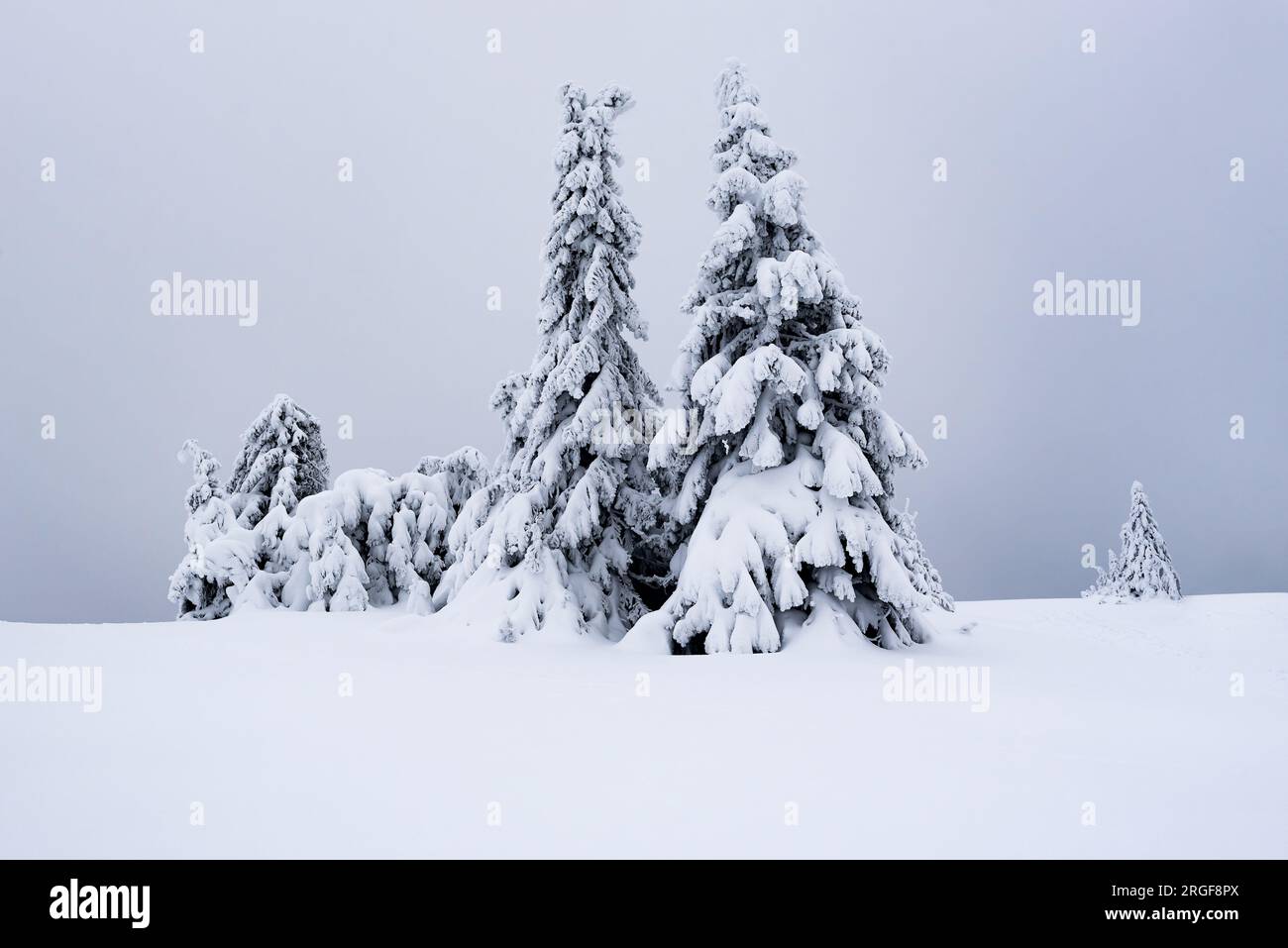 Surreal winter snowy scene fence hi-res stock photography and images ...