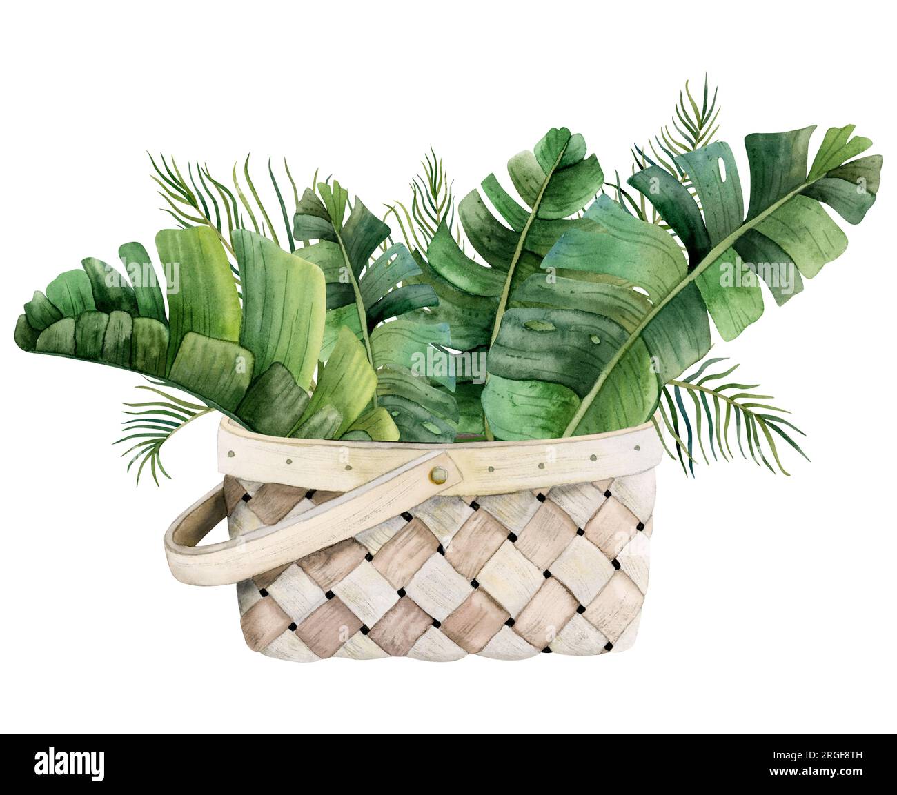 Watercolor tropical bouquet of palm and banana leaves in wicker basket ...