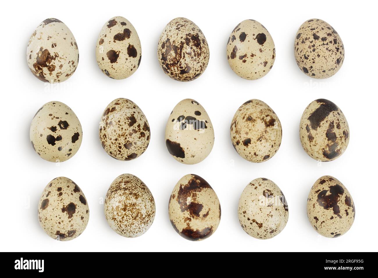 Raw quail egg isolated on white background with full depth of field ...