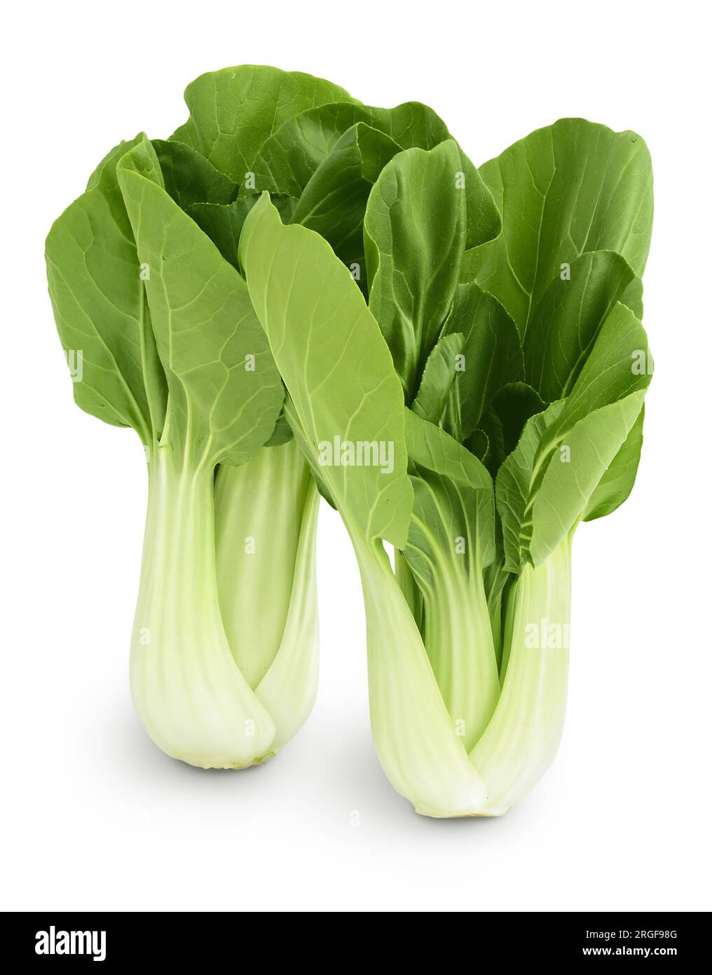 Fresh pak choi cabbage isolated on white background with full depth of ...