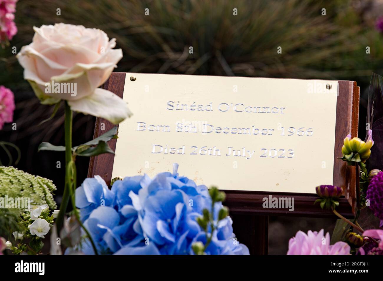 Flowers at the grave of Sinead O'Connor in The Garden section of ...