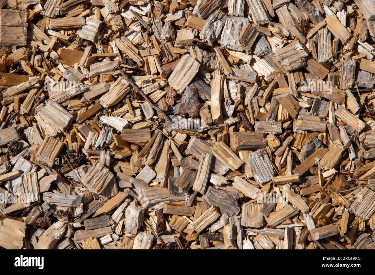Bunch of chipped wood on frame Stock Photo - Alamy