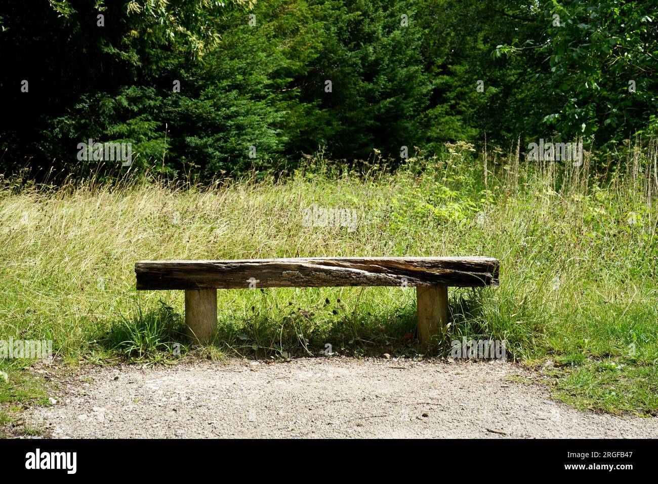 Rustic Wooden Bench on a footpath with long grass and woods behind ...