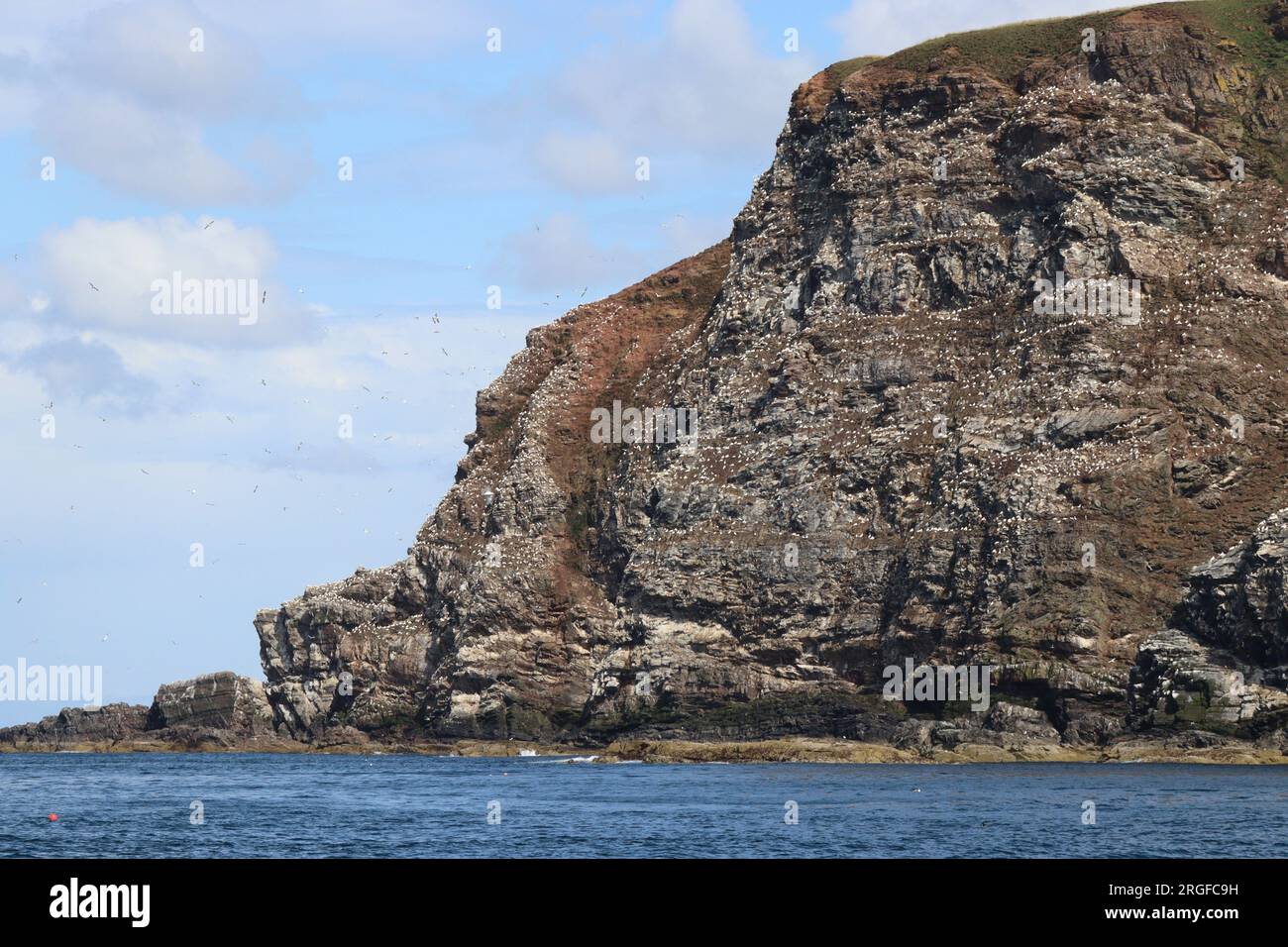 Troup head cliffs hi-res stock photography and images - Alamy