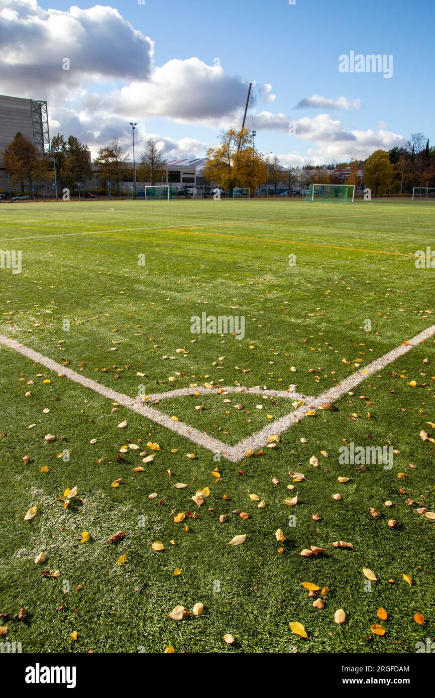 Football texture grass leaves hi-res stock photography and images - Alamy