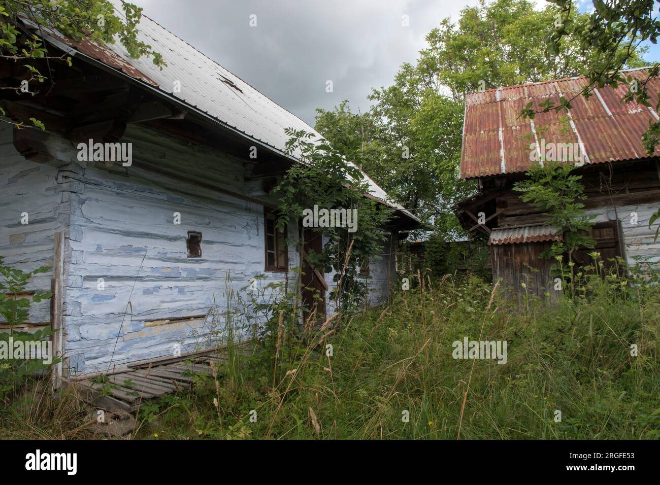 Old wooden housing, a small farm, now disused and overgrown. Painted ...