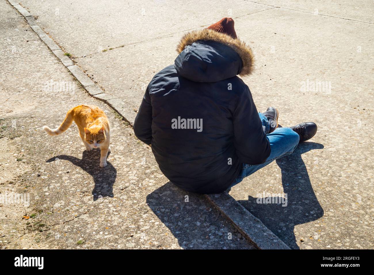 Gato vagabundo hi-res stock photography and images - Alamy