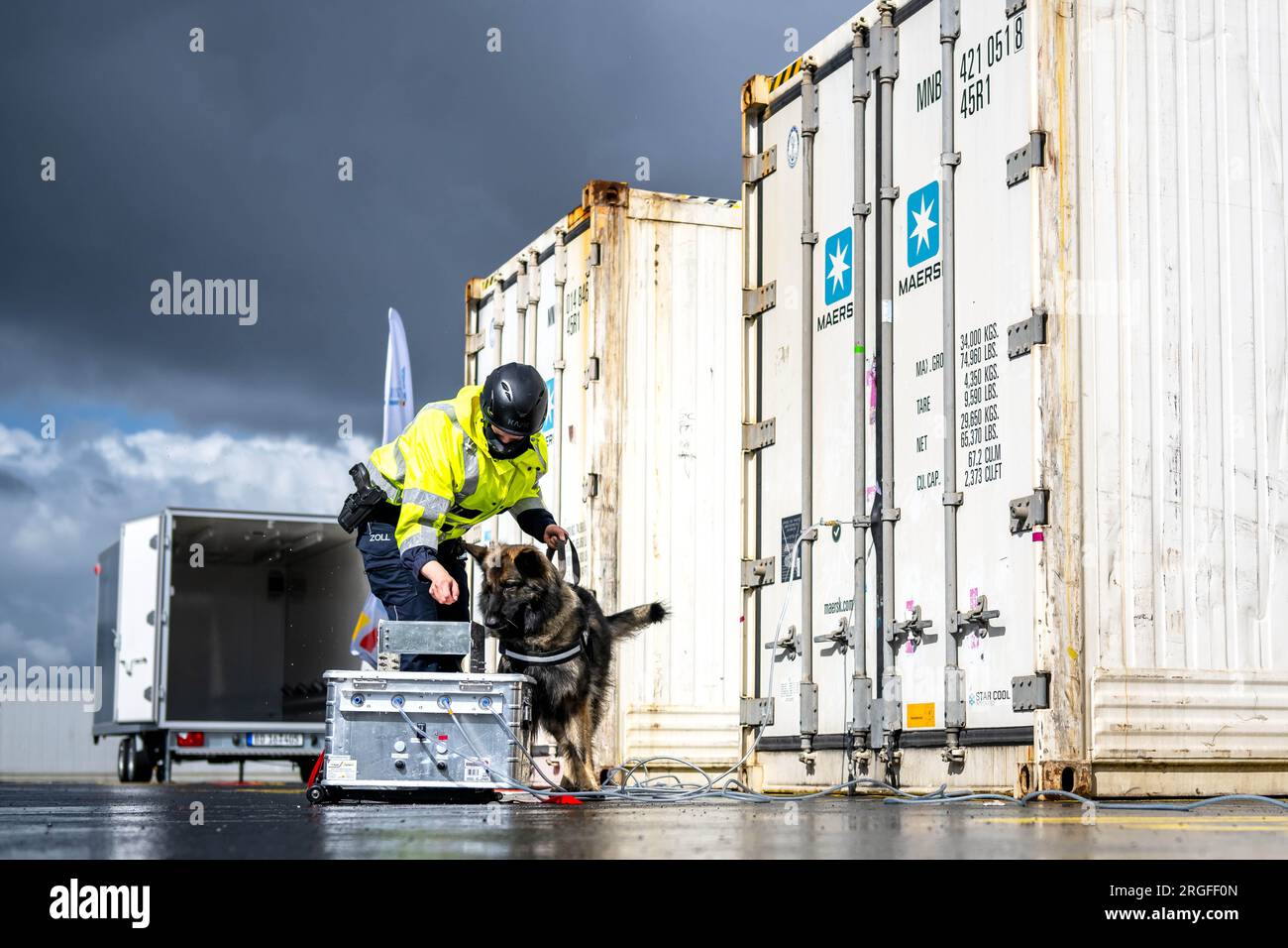 Bremerhaven, Germany. 09th Aug, 2023. A customs sniffer dog checks the ...