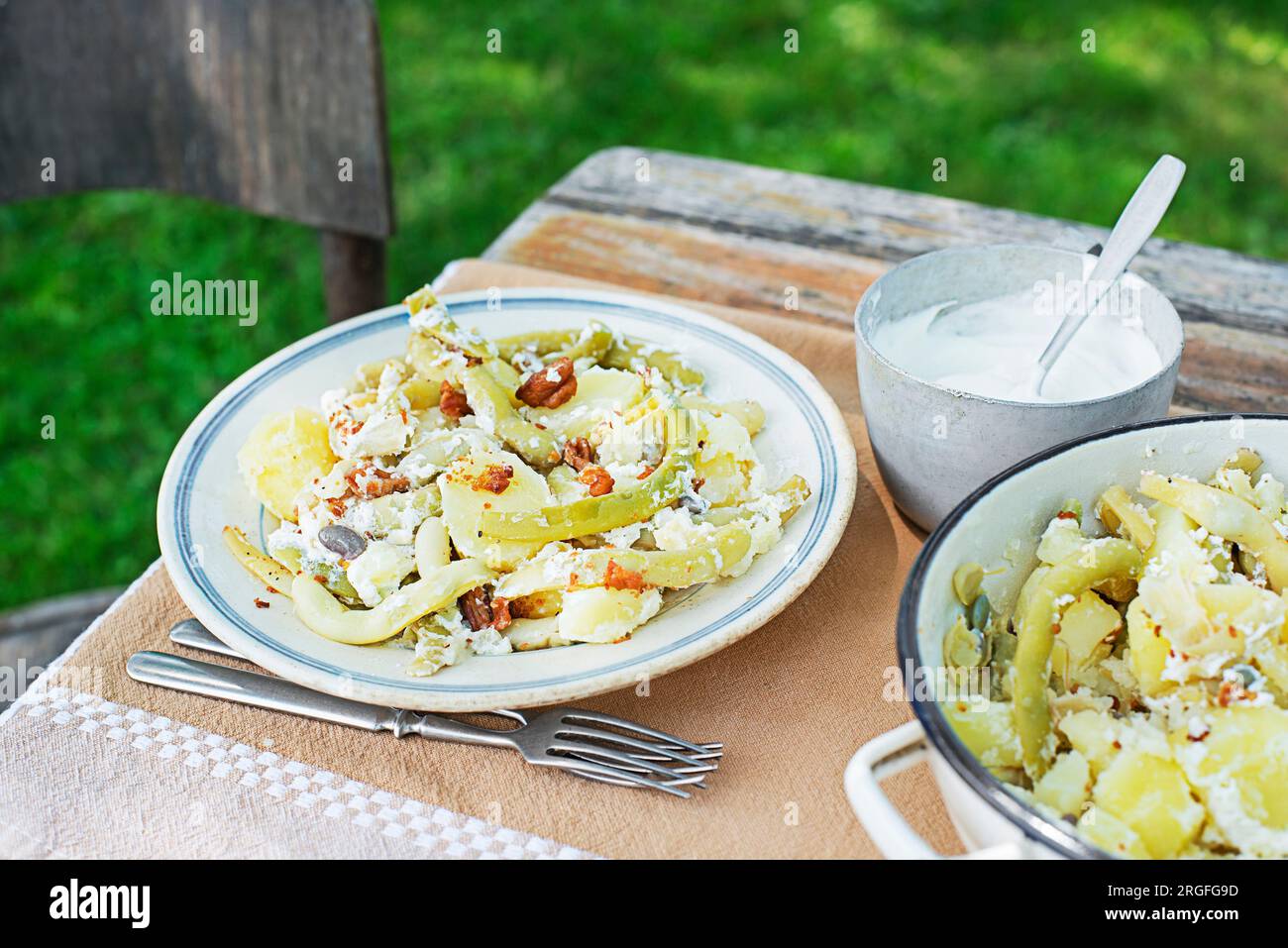 Traditional Slovenian dish with green beans or yellow beans with ...