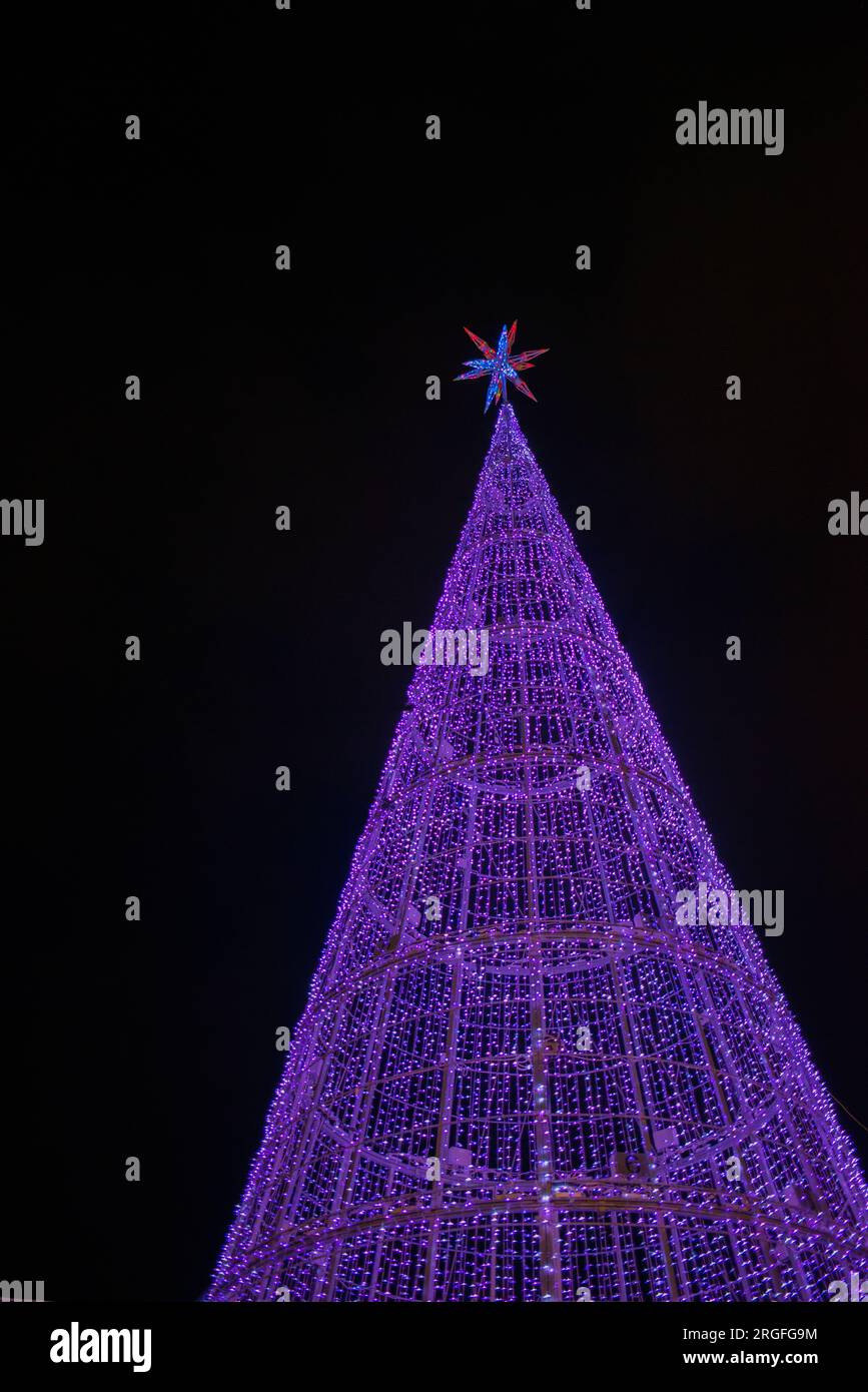 Street light on tree hi-res stock photography and images - Alamy