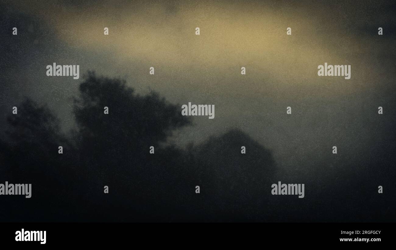 An abstract blurry grainy edit of trees silhouetted on a foggy night ...