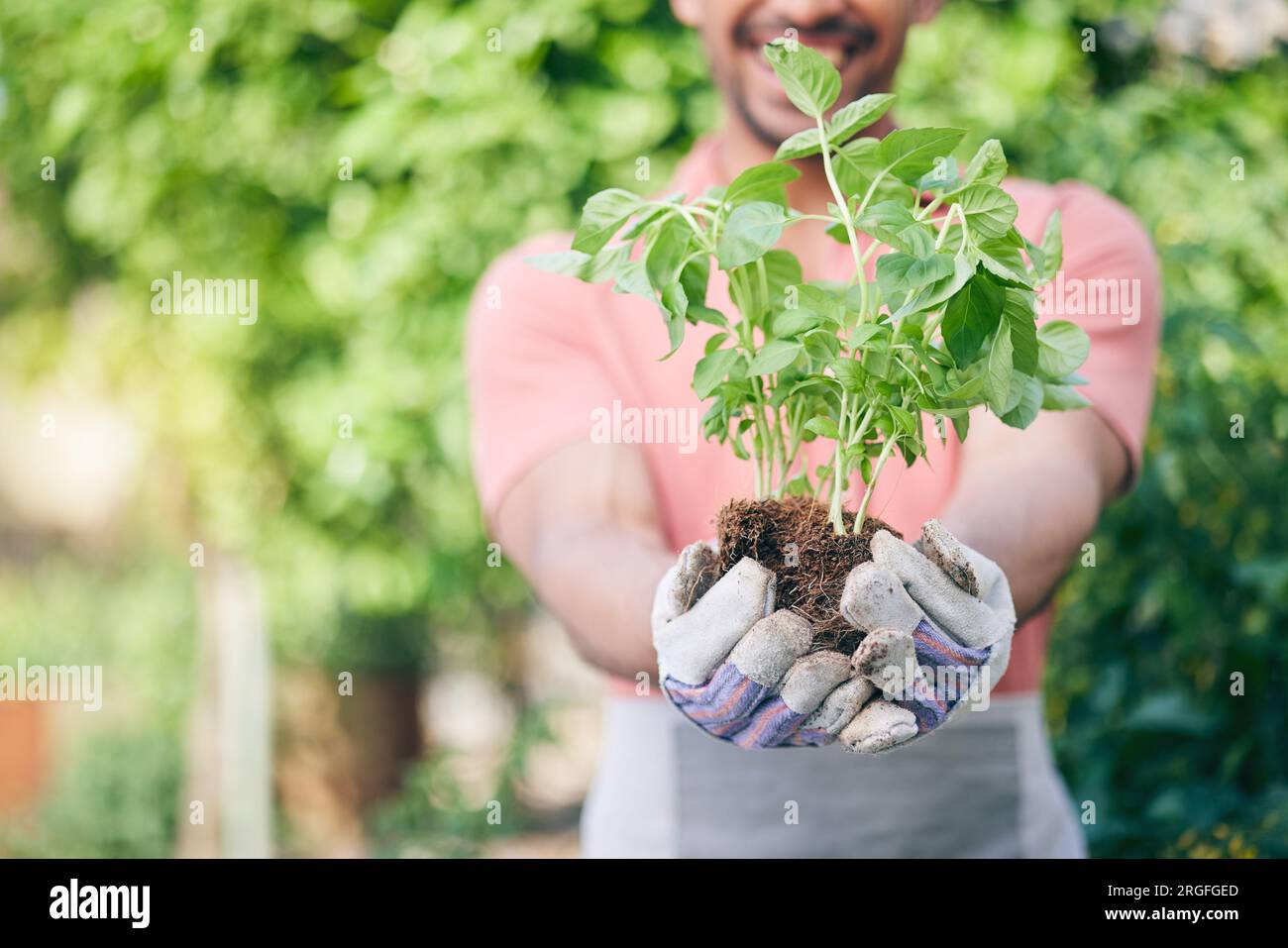 Hands, growth and man with plant for gardening, earth day or nature ...