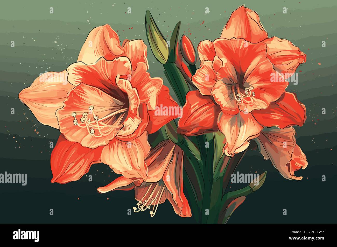 Amaryllis Watercolor illustration. Hand drawn underwater element design. Artistic vector marine ...