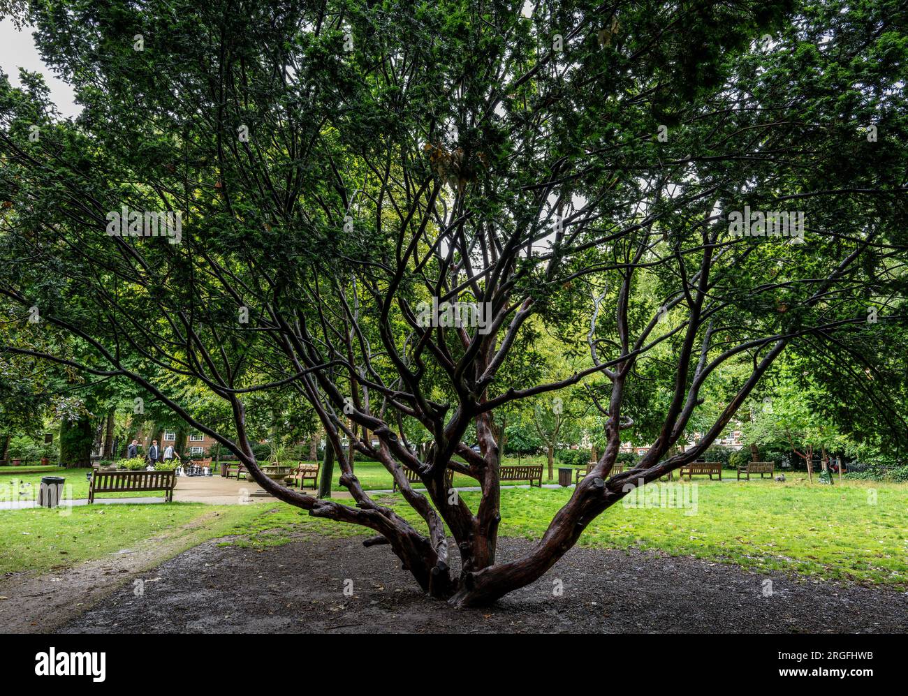 St John's Wood, London, UK: St John's Wood Church Gardens, a public ...