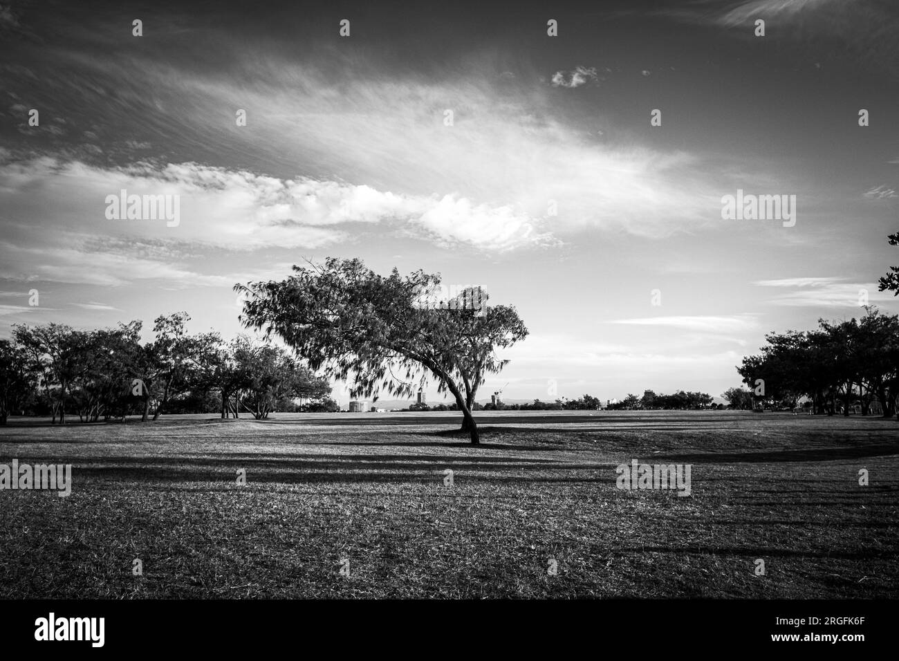 Many trees are growing at the outskirt of this park and only one small ...