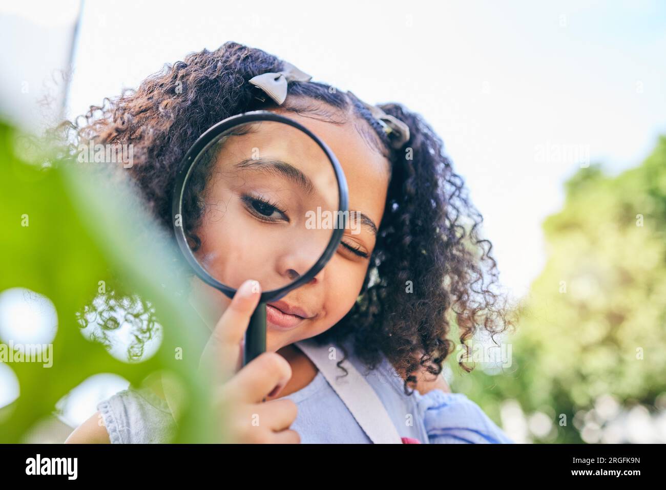 Magnifying glass plants in the park hi-res stock photography and images - Alamy