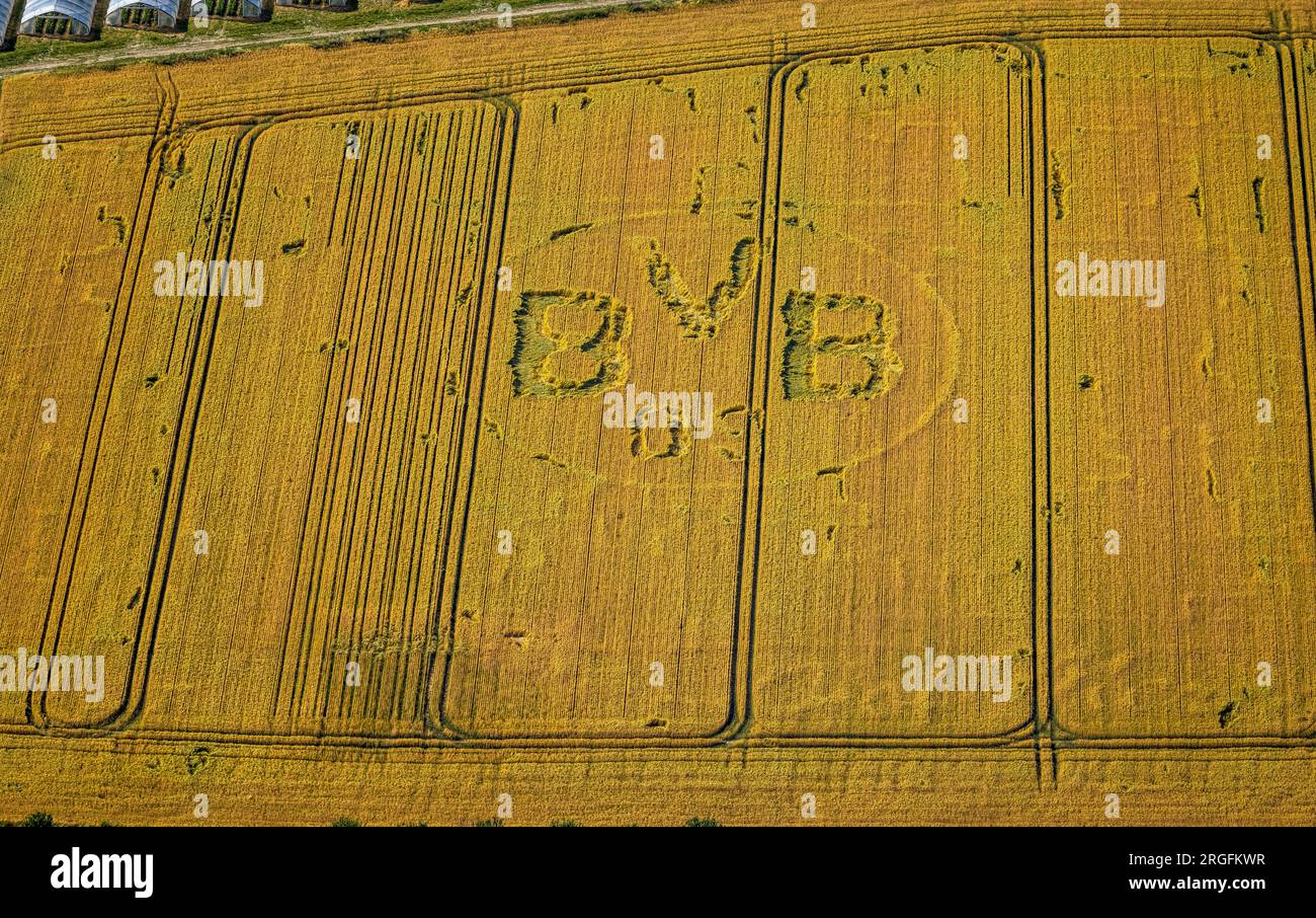 Aerial view, symbols and signs in a field, BVB logo, Bönninghauser ...