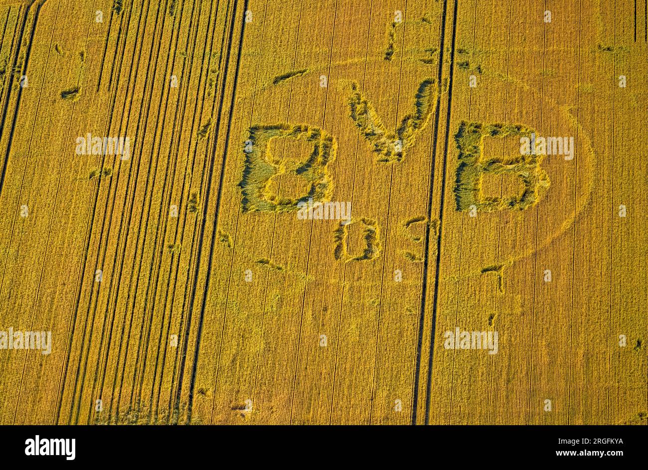 Bvb logo in field hi-res stock photography and images - Alamy
