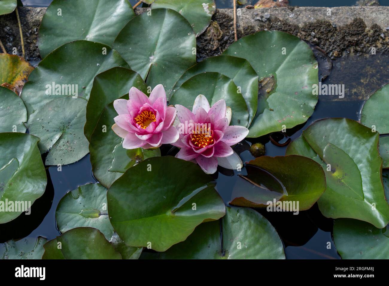 Round clarifier hi-res stock photography and images - Alamy
