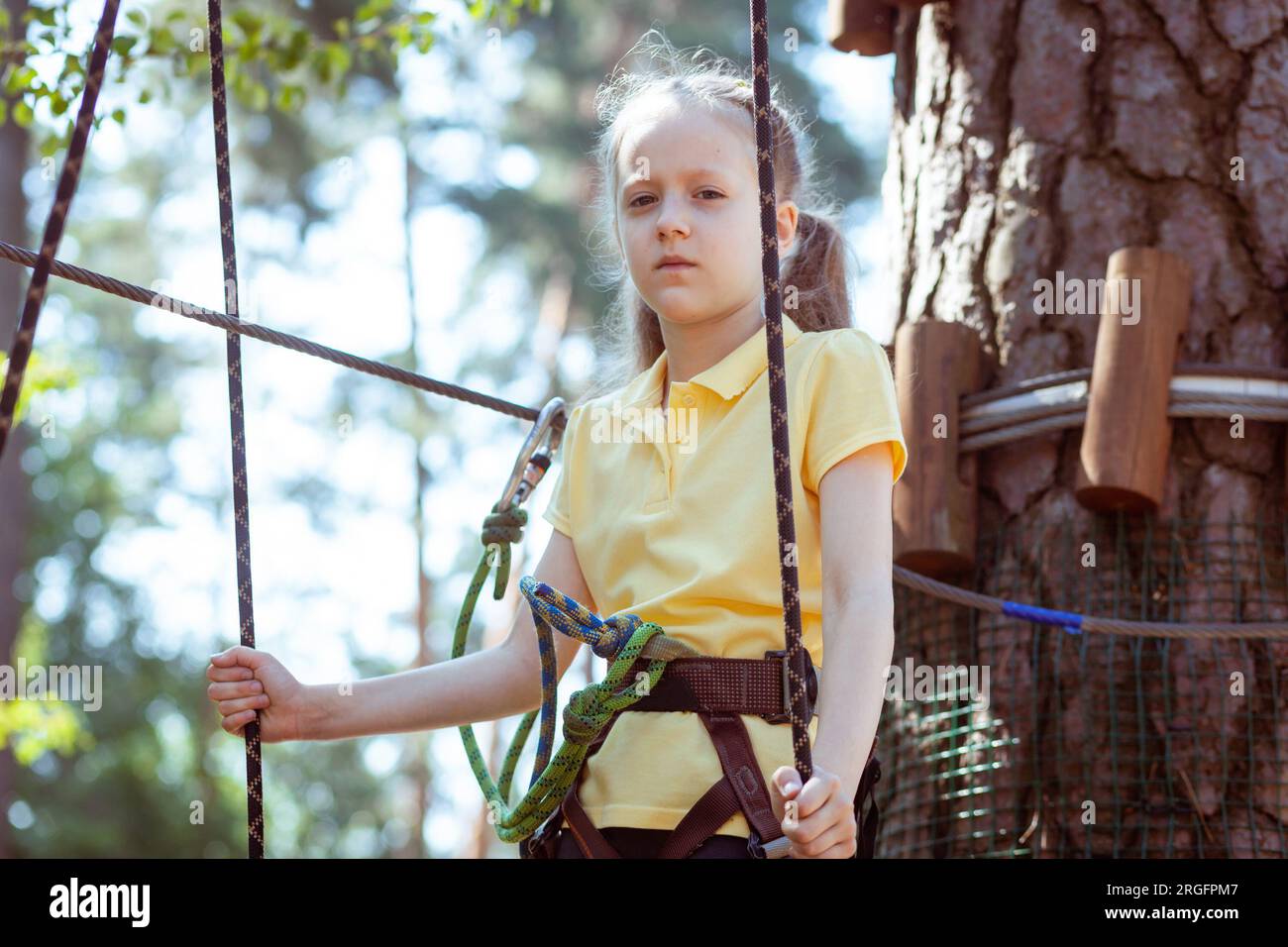 A child in a forest adventure park made of ropes. The girl is climbing ...
