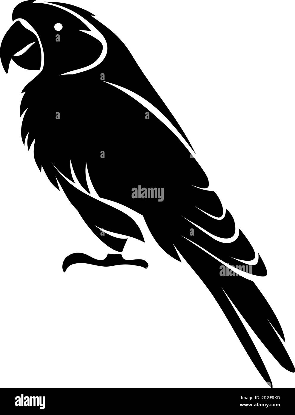 Parrot. Black silhouette of a parrot bird isolated on a white ...