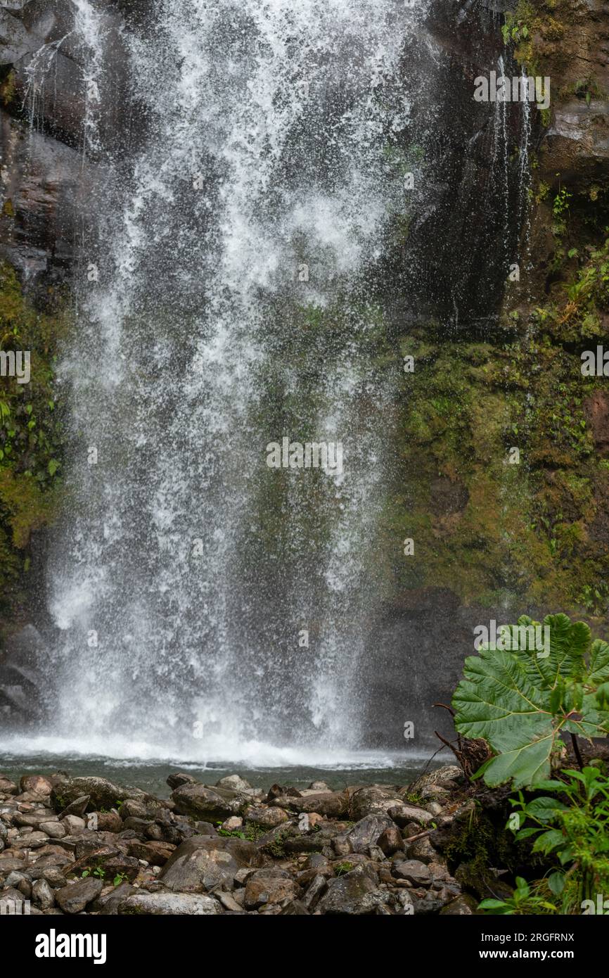 Waterfall at Baru volcano national park, Chiriqui, Panama - stock photo ...