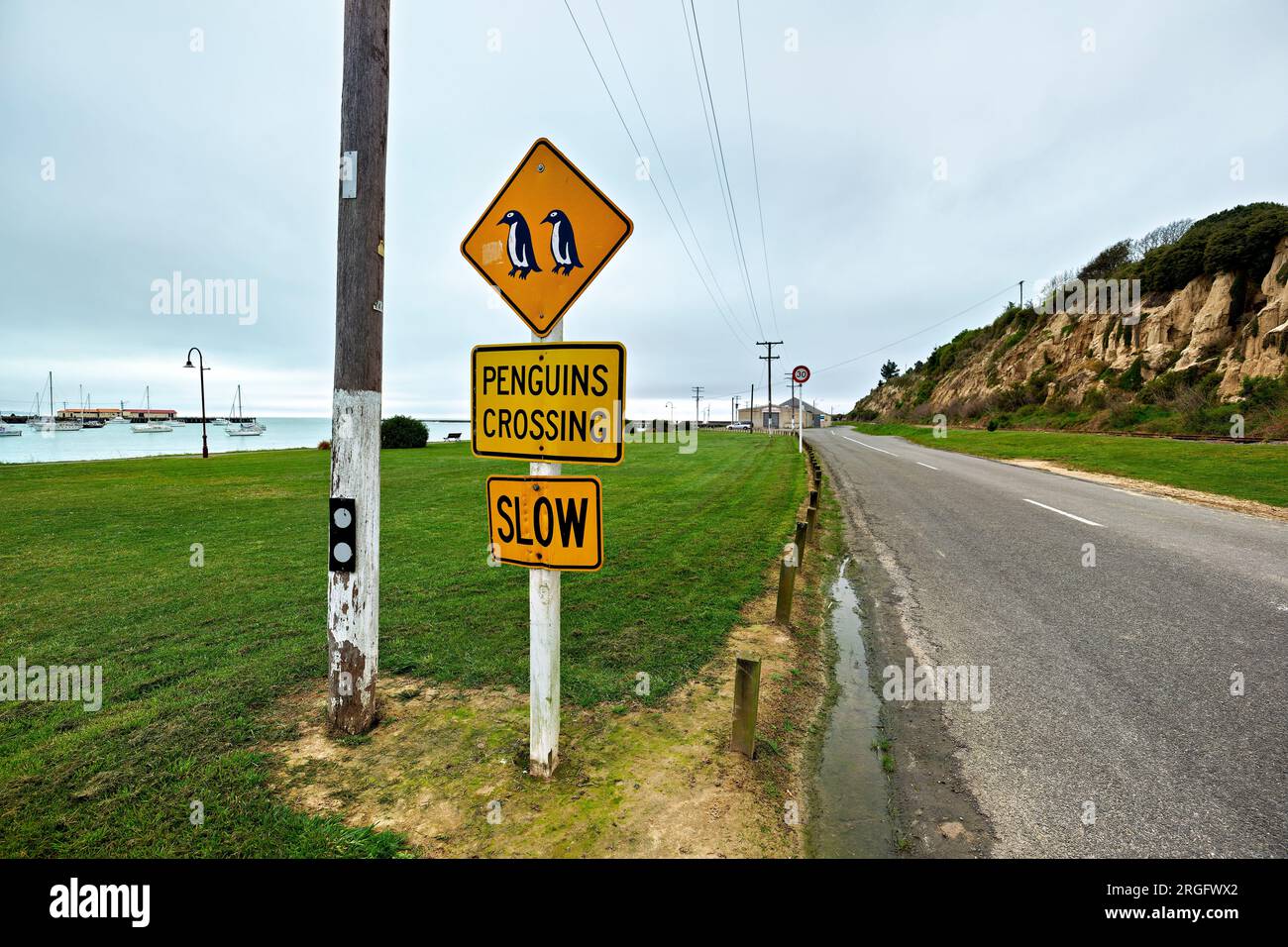 Penguins crossing sign in the streets of Oamaru New Zealand Stock Photo ...