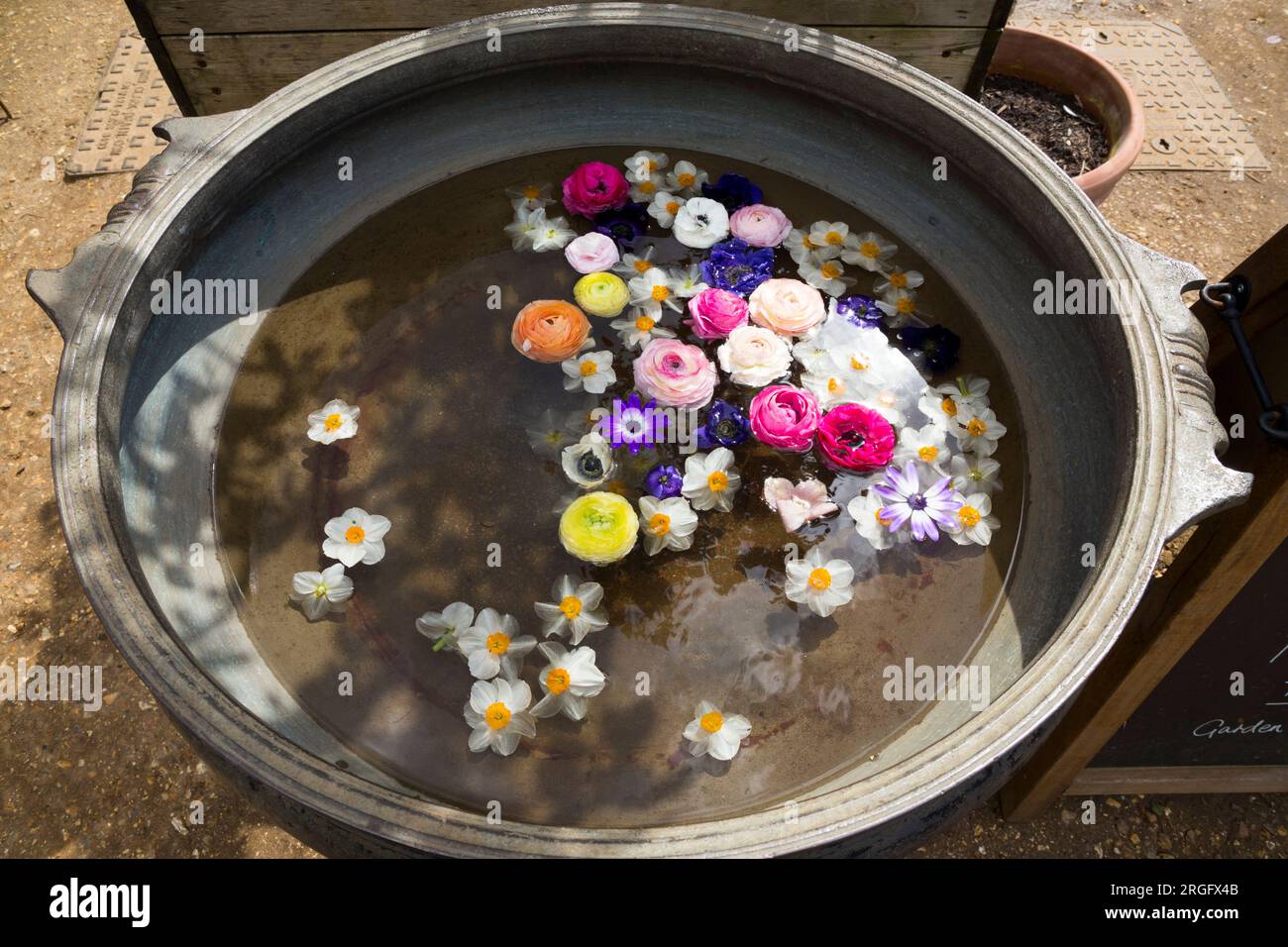 Metal flower water feature hi-res stock photography and images - Alamy