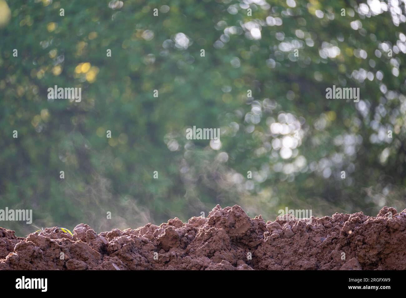 Fresh steaming earth soil in green nature Stock Photo - Alamy