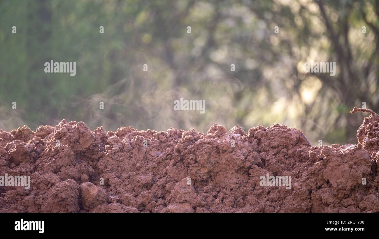 Fresh steaming earth soil in green nature Stock Photo - Alamy