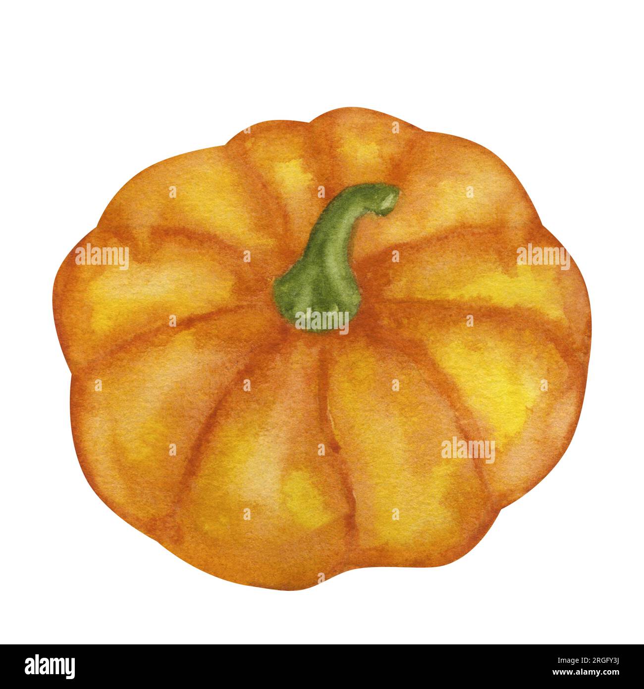 Orange pumpkin clipart. Thanksgiving Day or harvest festival. Hand ...