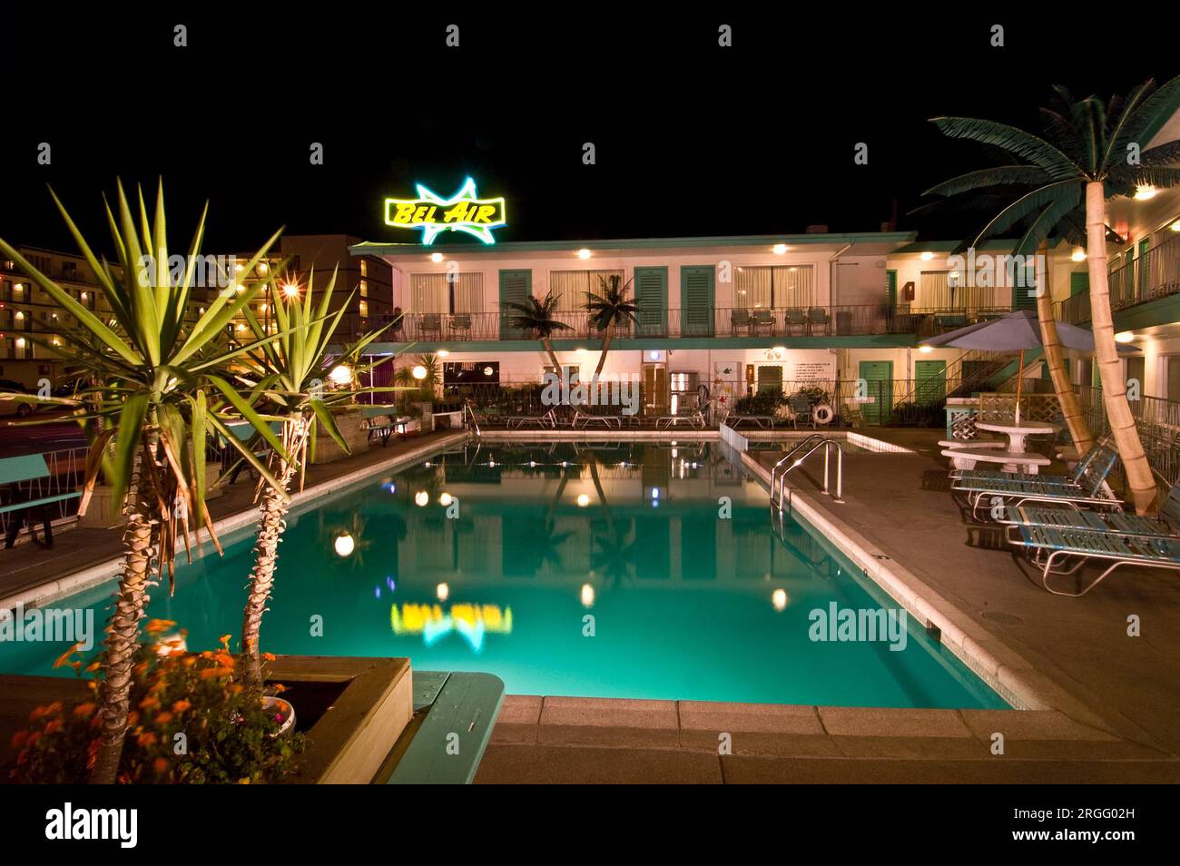 Pool at night with large neon sign and palm hi-res stock photography ...